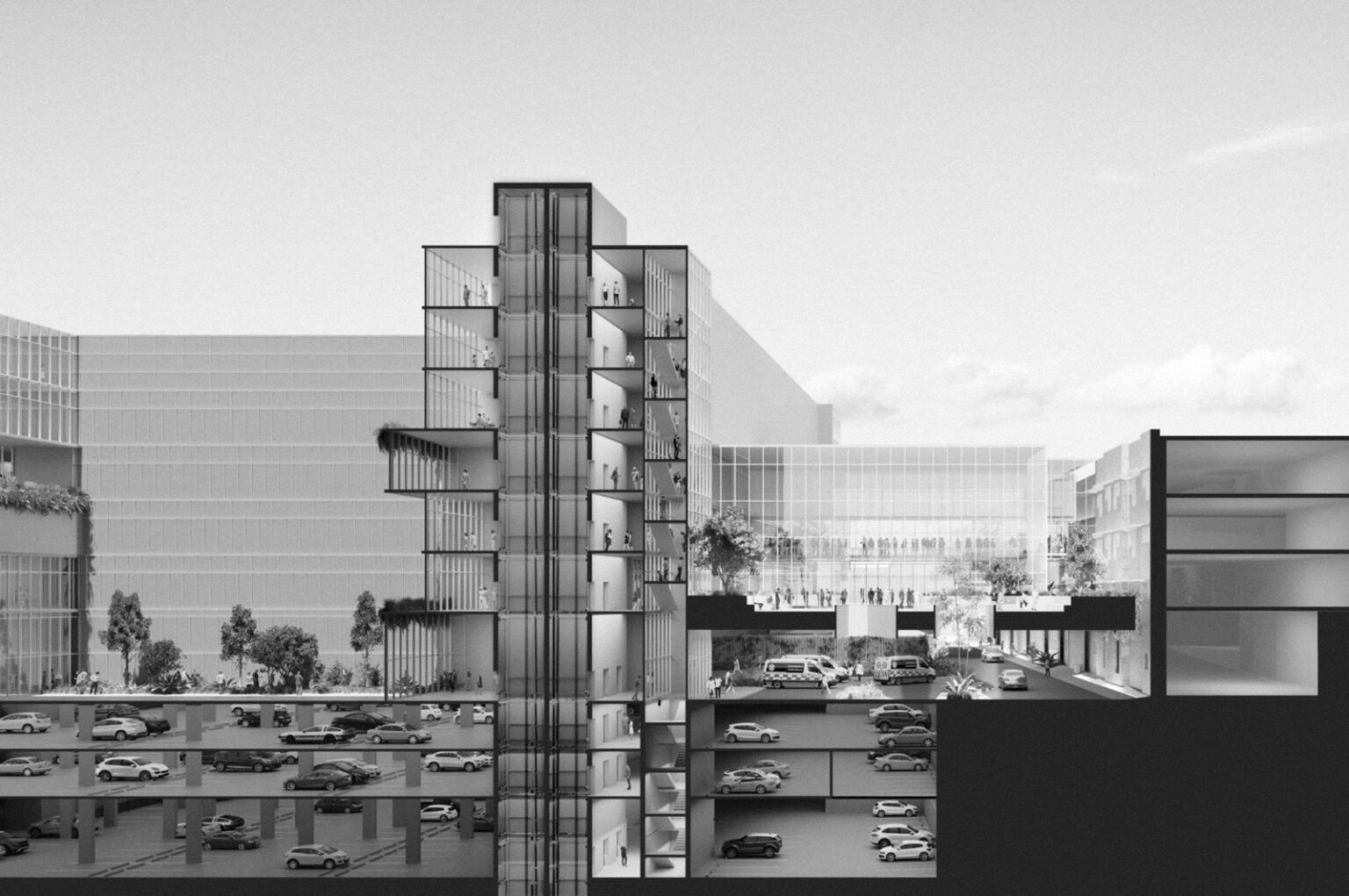 John Hunter Health & Innovation Precinct - WSce